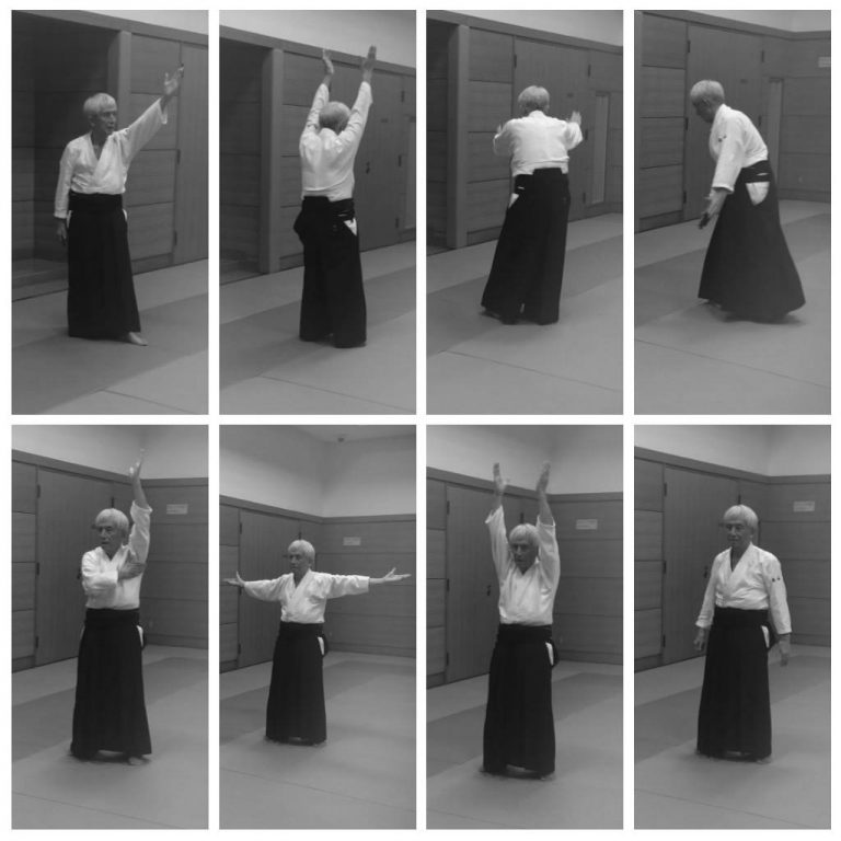Shinbashira exercises - centre pole training - Aikido Yuishinkai
